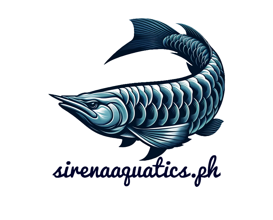Arowana Care – Sirena Aquatics