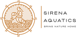 Sirena Aquatics