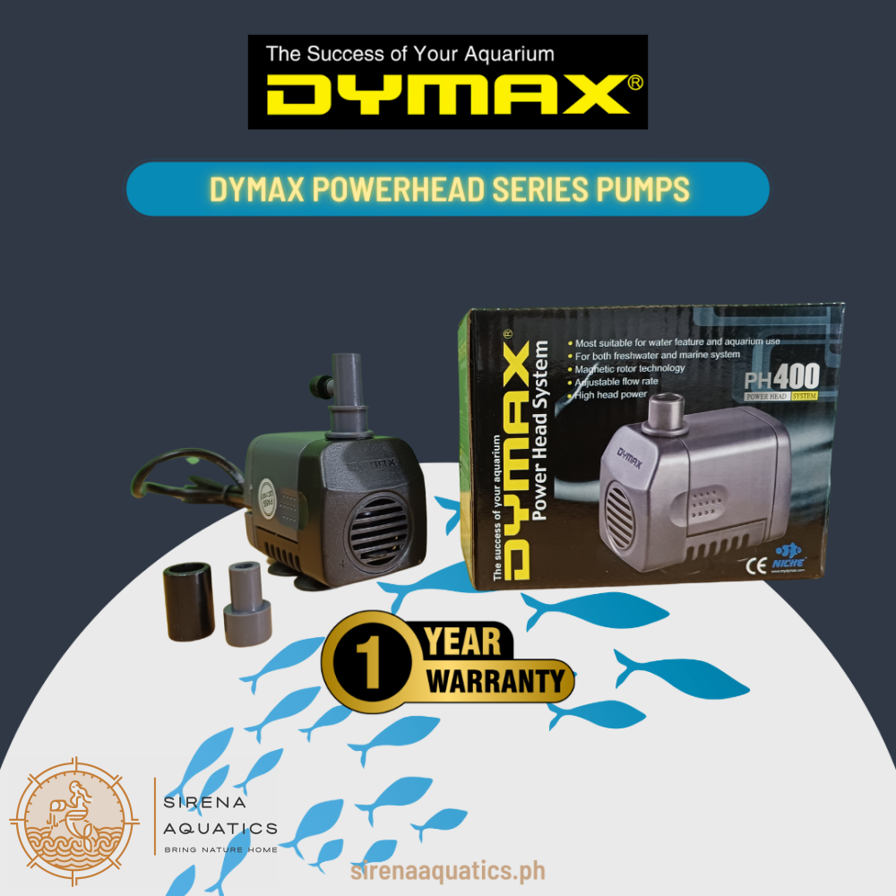 Water Pumps – Sirena Aquatics