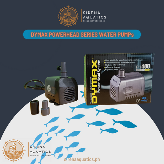 Water Pumps – Sirena Aquatics