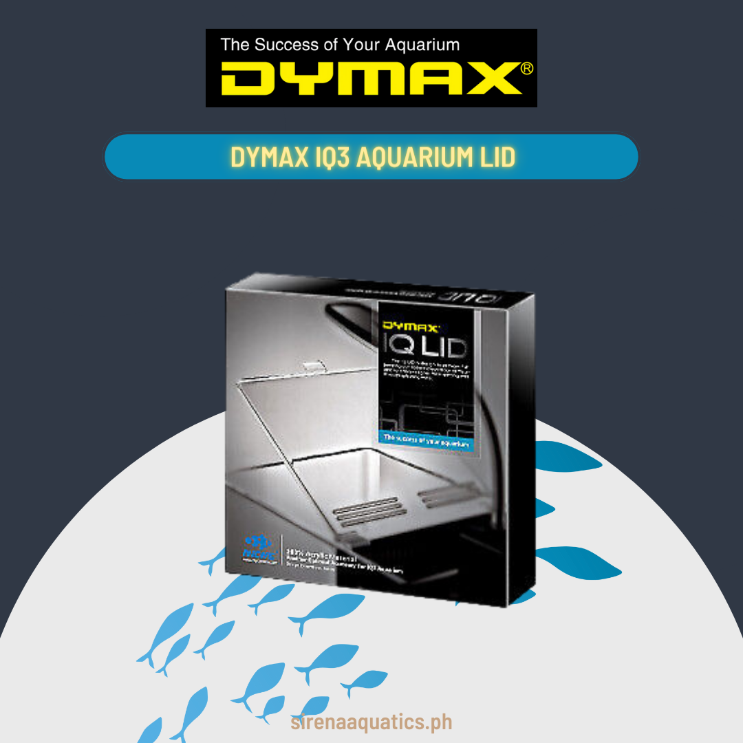 Dymax IQ Aquarium Lid Acrylic Material Lightweight and Easy to Clean – Sirena Aquatics