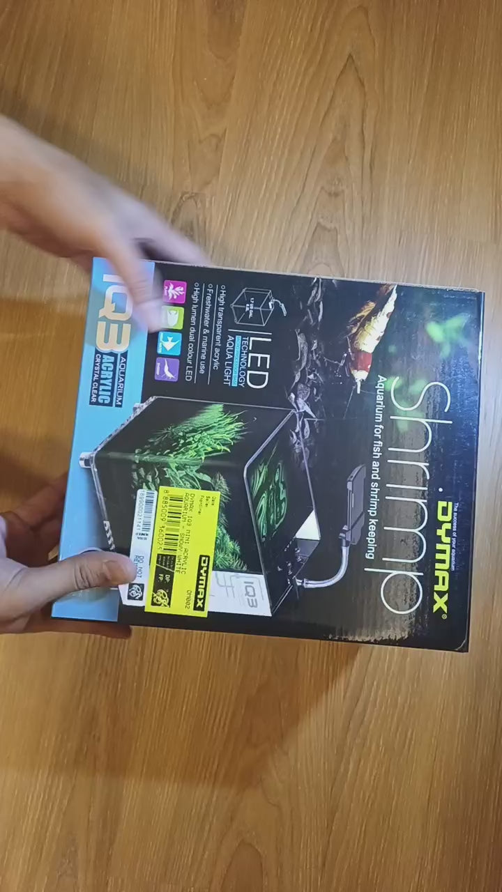 Aquariums – Sirena Aquatics