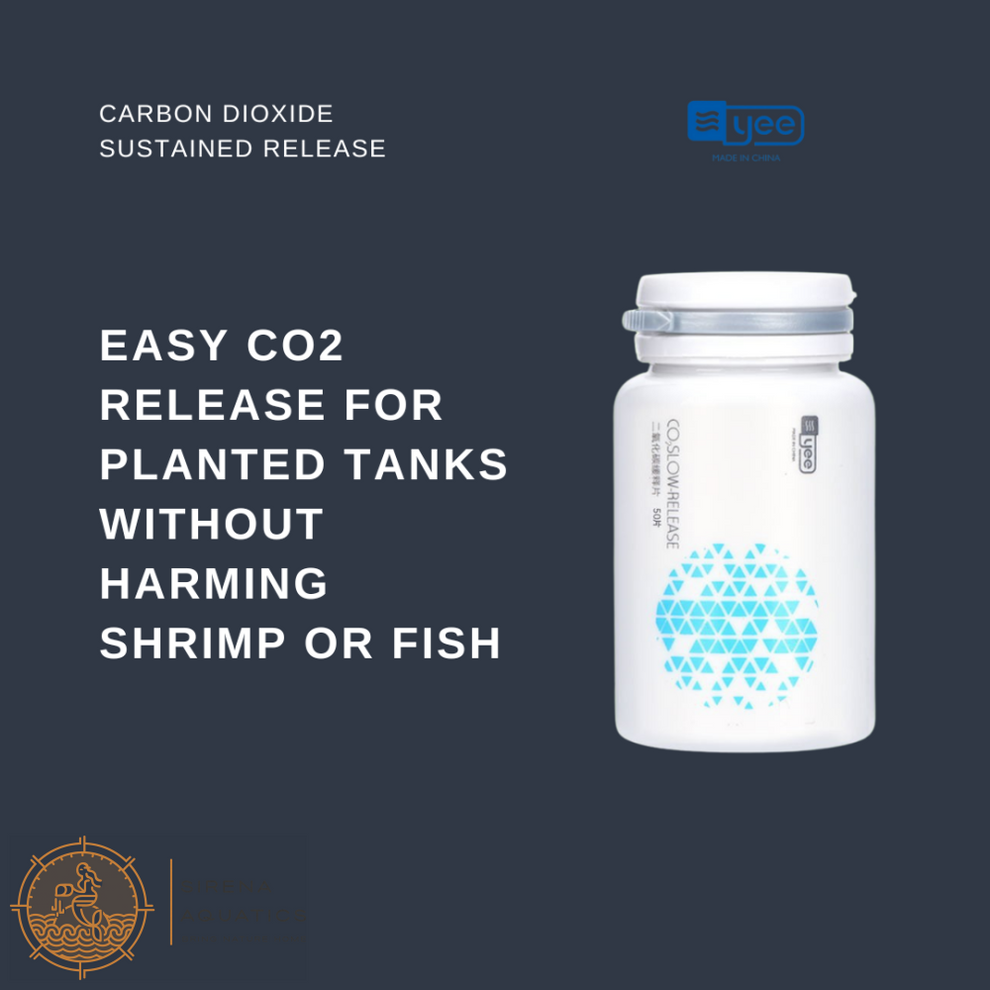Yee Carbon Dioxide (CO2) Slow Release Tablets for Aquatic Plants in Pl – Sirena Aquatics
