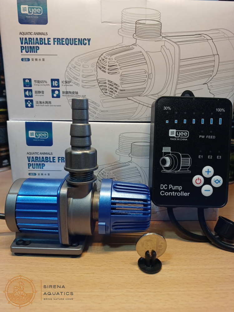 Water Pumps – Sirena Aquatics